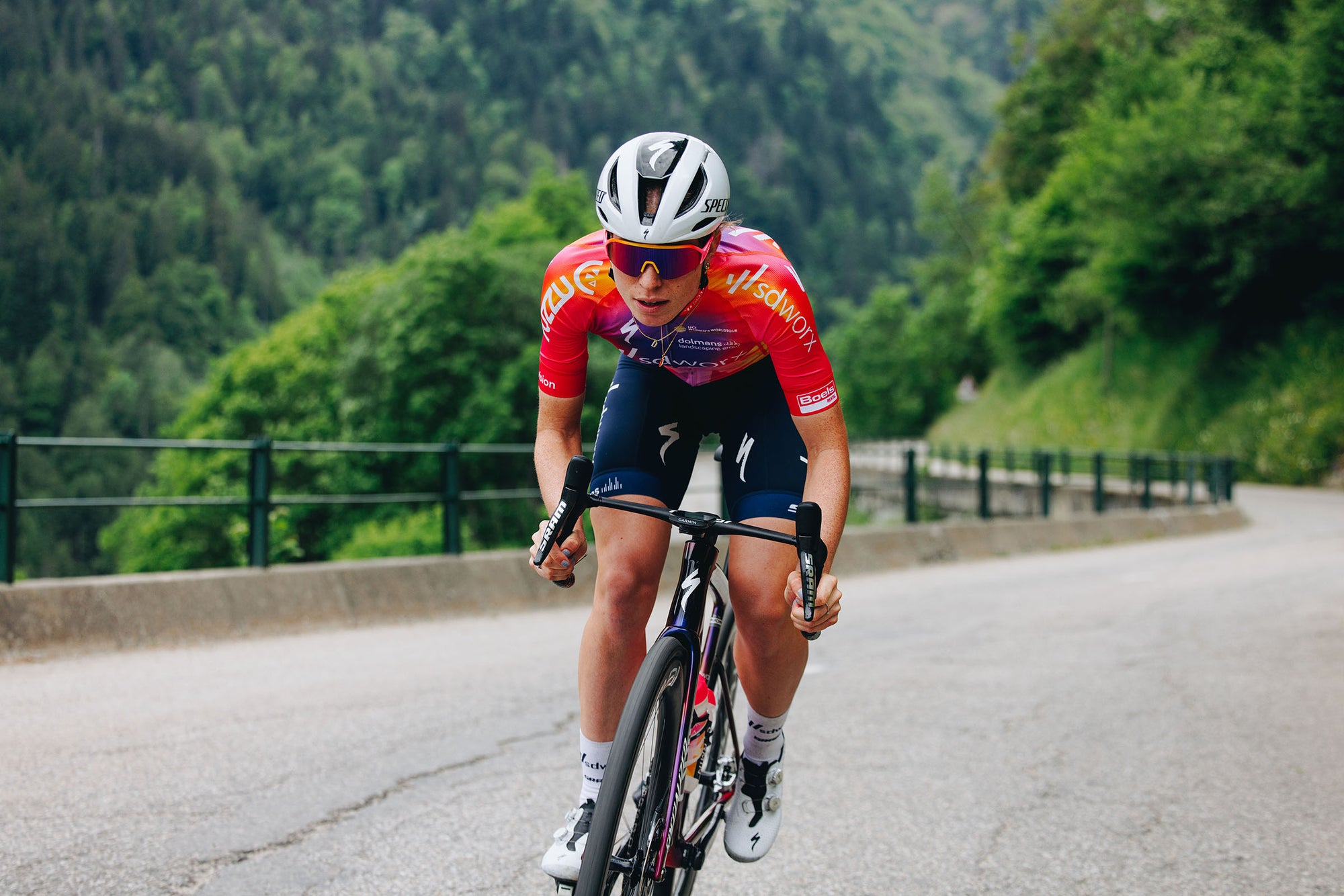 Velofix | Rozelle | Bike Repairs | Bike Fit I Sales